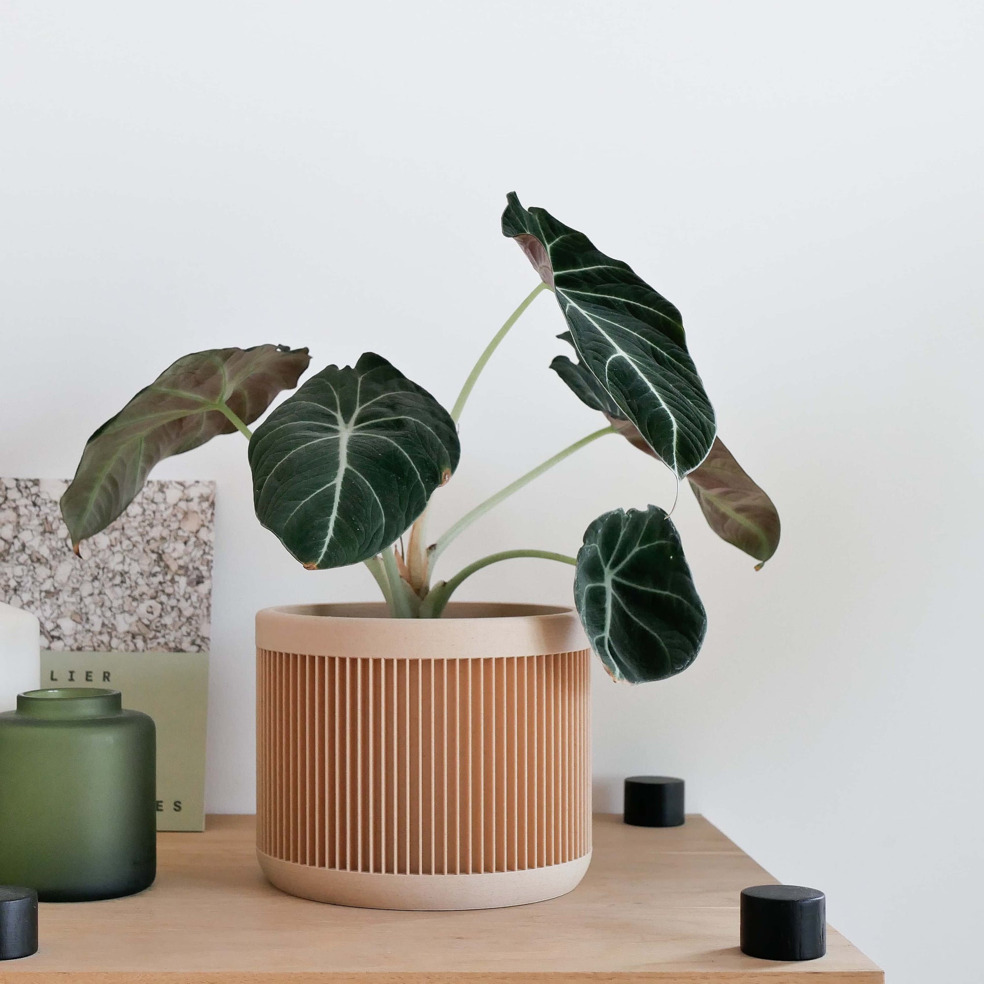 Japan Planter - Minimalist Japandi Pot for Indoor Plants & Succulents ...