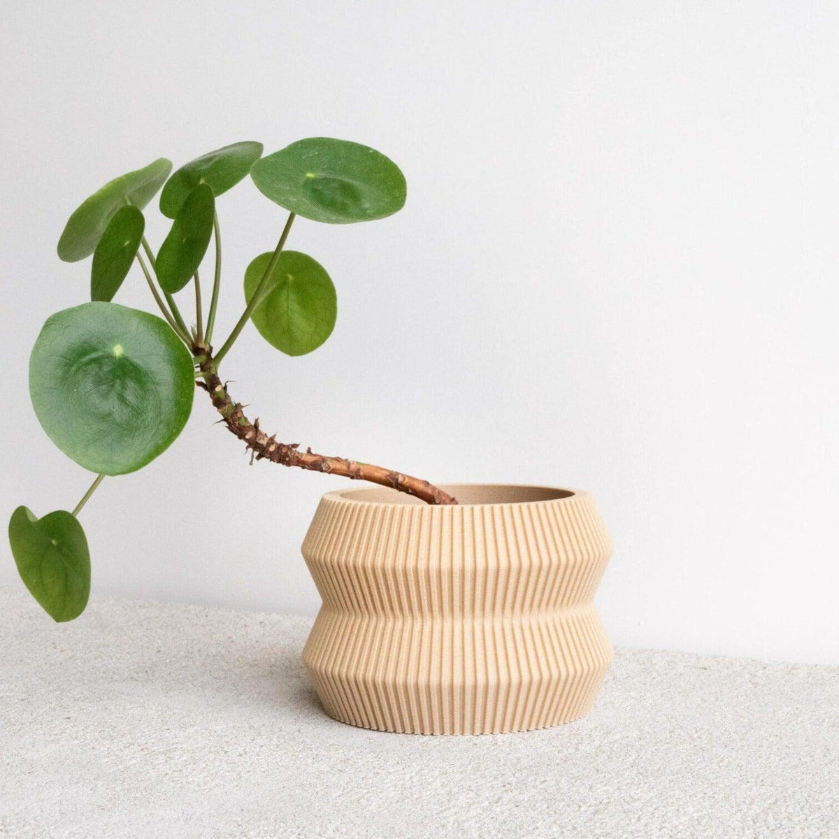 ITO Planter – Minimalist and sustainable Indoor Plant Pot | Minimum Design