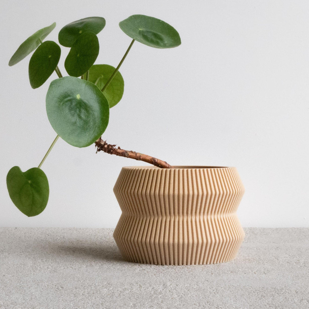 ITO Indoor Planter | Minimum Design