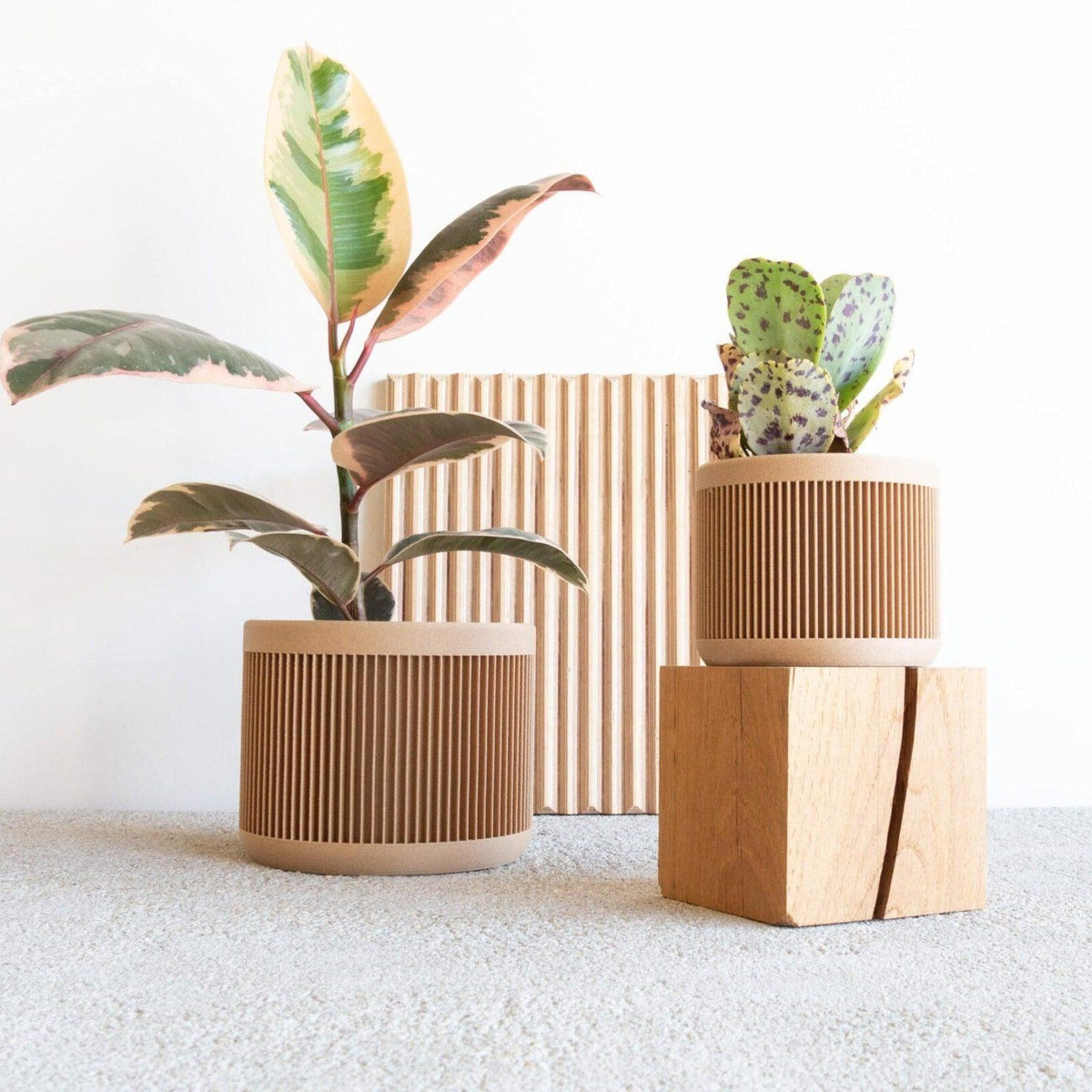 Japan Planter - Minimalist Japandi Pot for Indoor Plants & Succulents ...