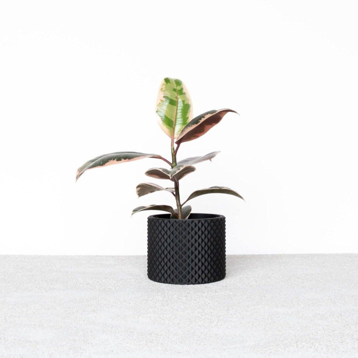PIKO Indoor Planter | Minimum Design